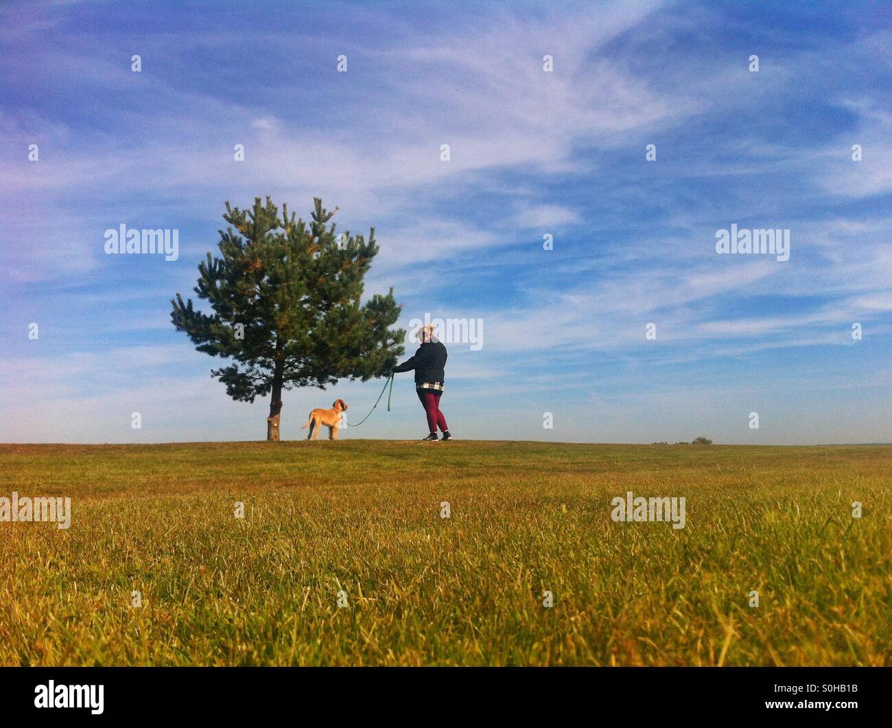 Beautiful Solo Tree High Resolution Stock Photography and Images - Alamy