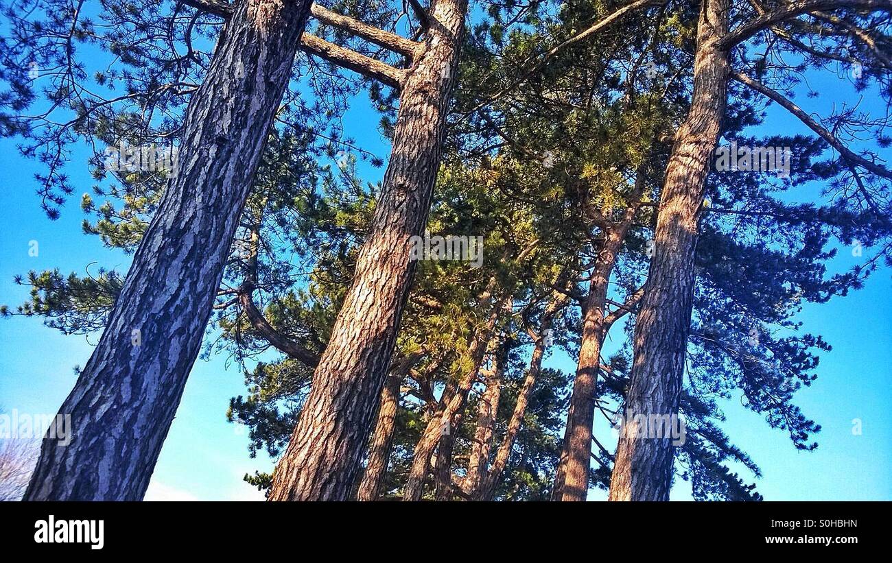 Tall blue hi-res stock photography and images - Alamy