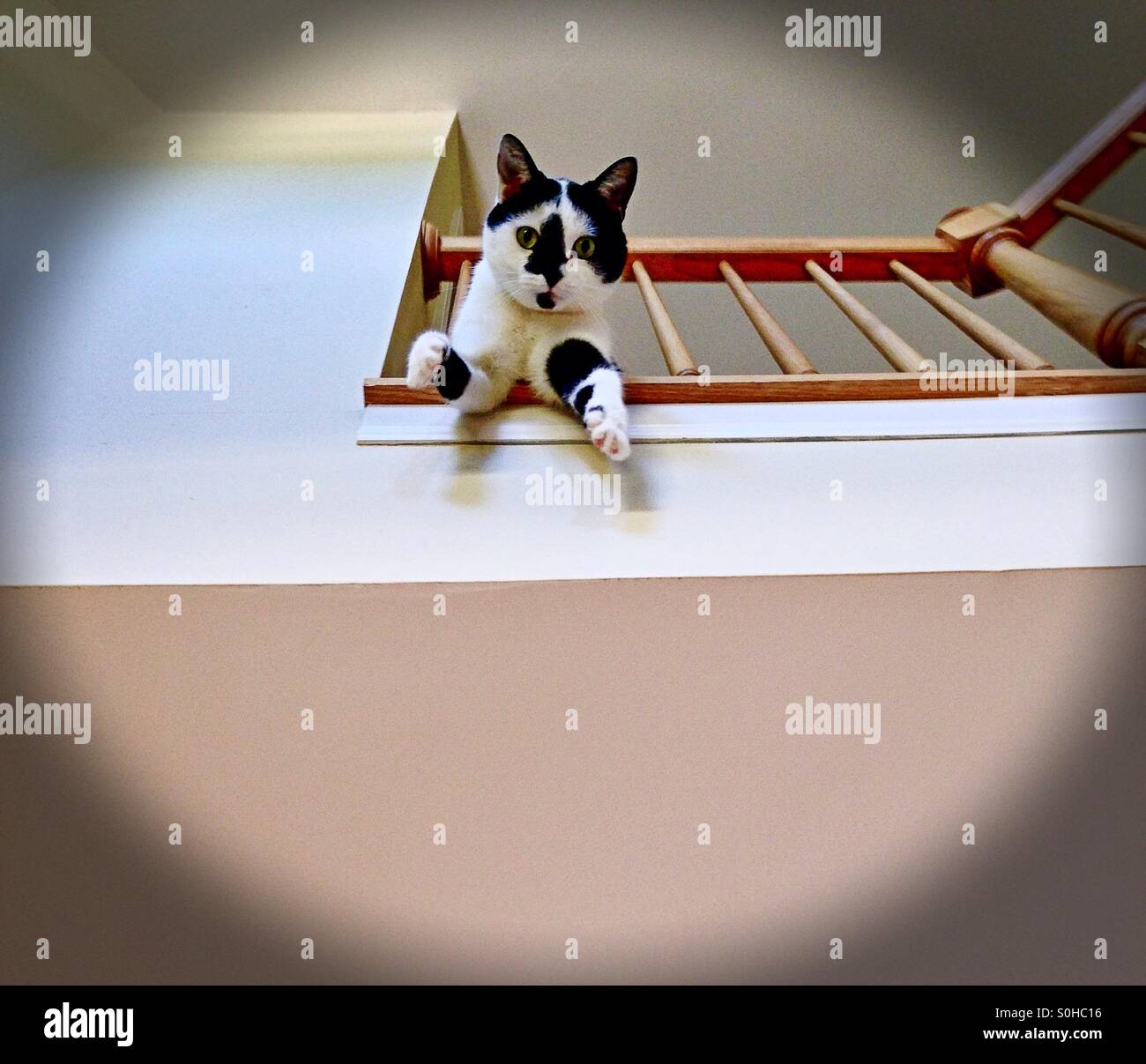 Second floor railing hi-res stock photography and images - Alamy