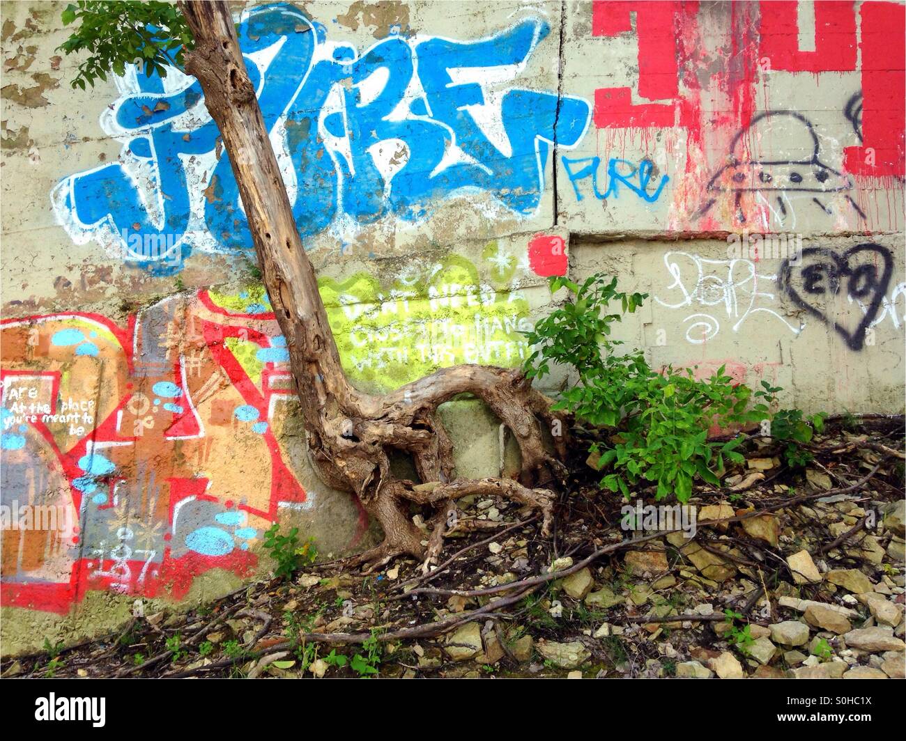 Tree wall graffiti hi-res stock photography and images - Alamy