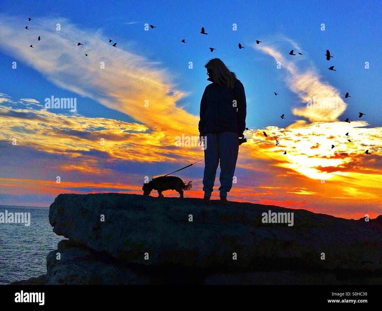 Sunset dog walks Stock Photo - Alamy