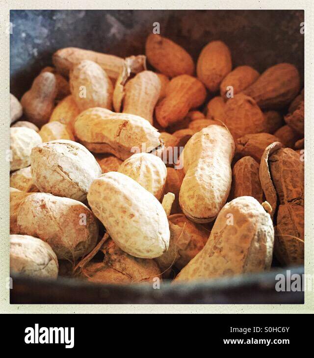 Nuts in a bucket hi-res stock photography and images - Alamy