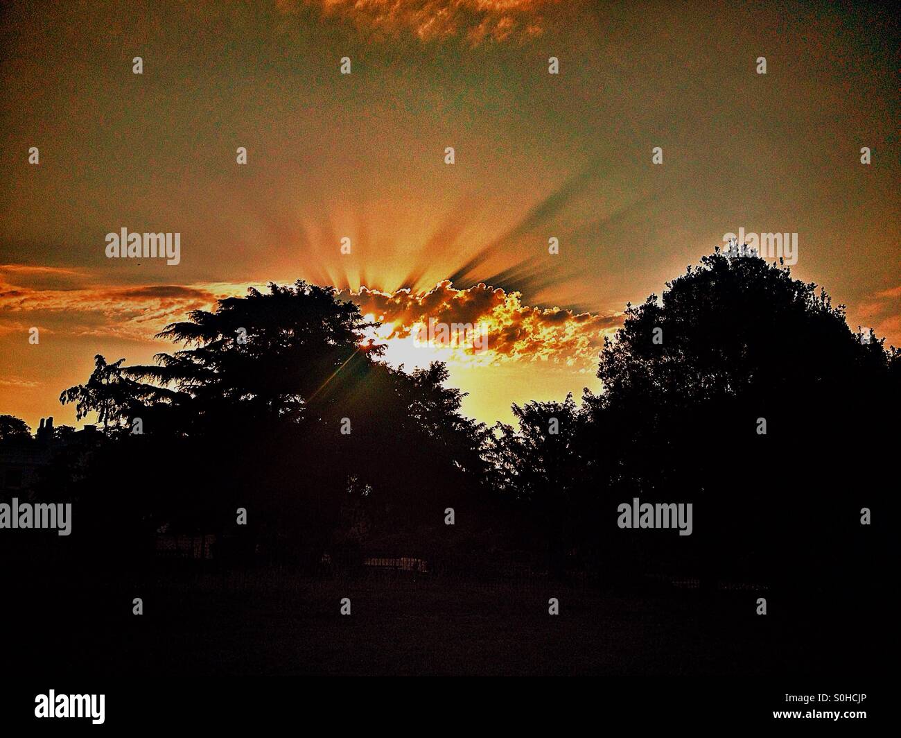 Sunshine behind trees hi-res stock photography and images - Alamy