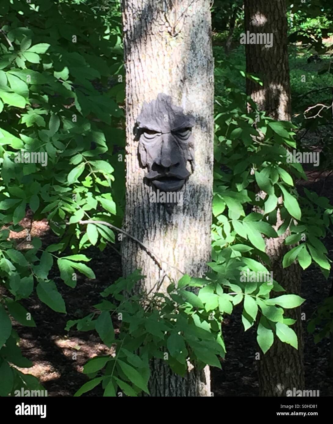 Scary Mask Stock Photos & Scary Mask Stock Images - Alamy