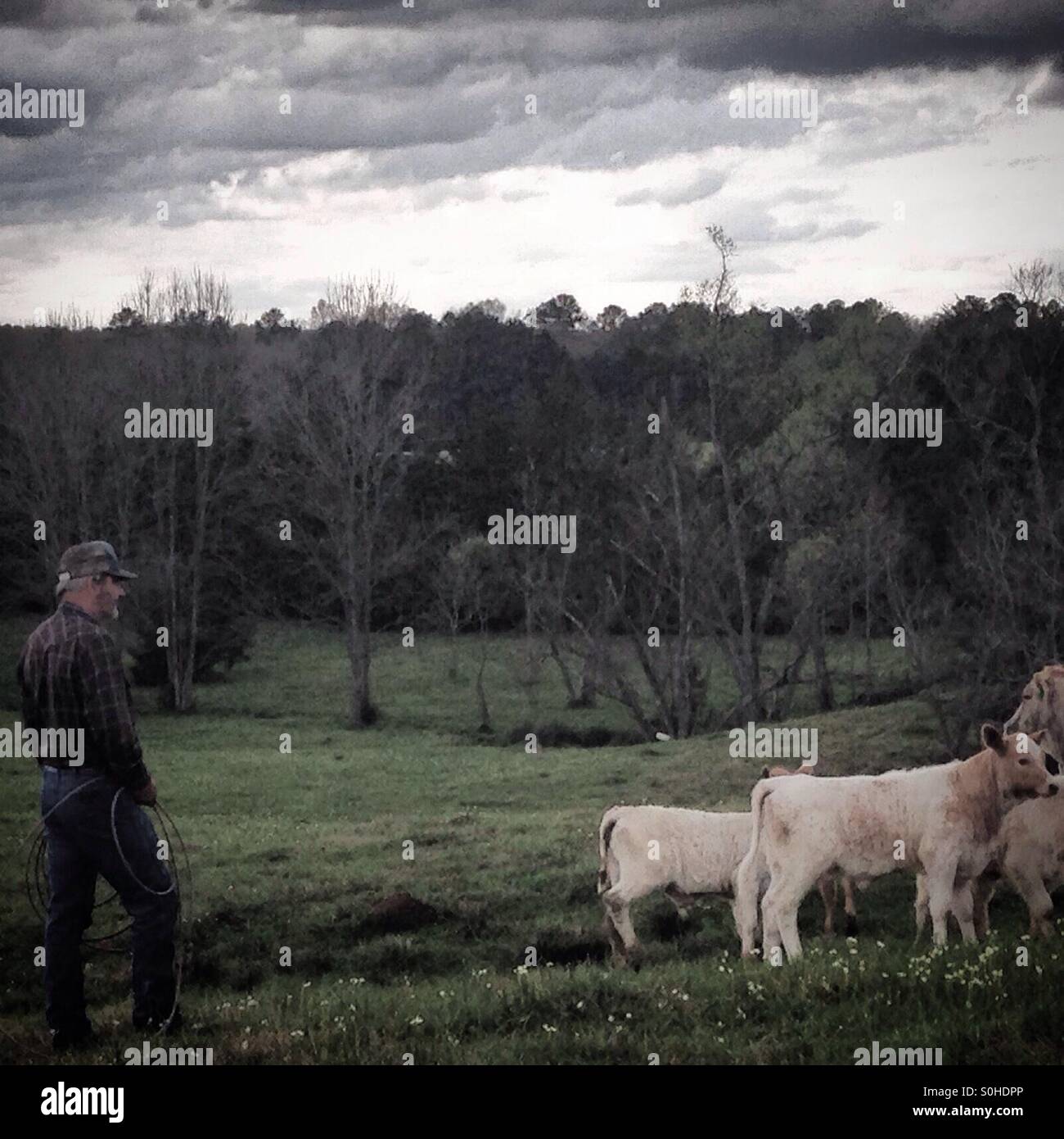 Cattleman High Resolution Stock Photography and Images - Alamy