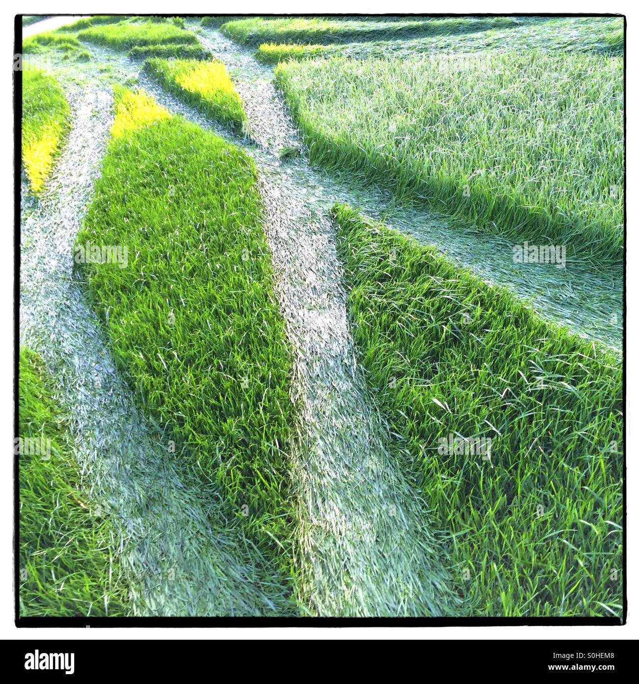Crop circles hi-res stock photography and images - Alamy
