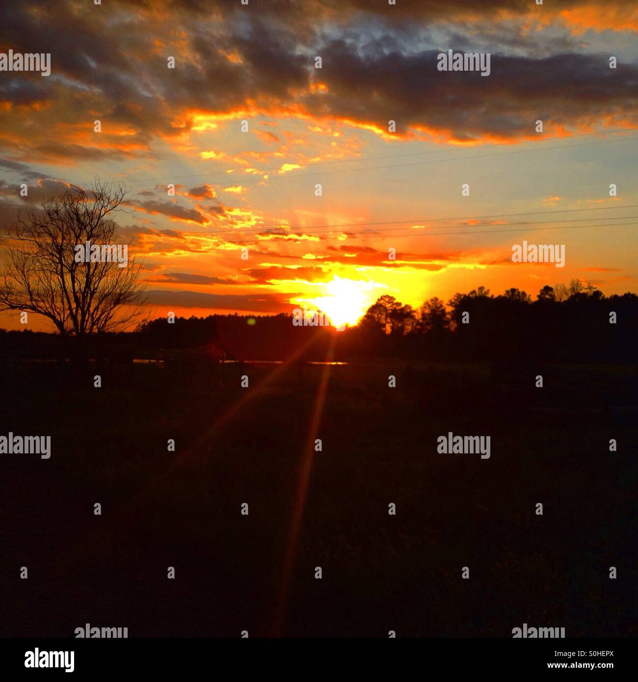 Ranch life hi-res stock photography and images - Alamy