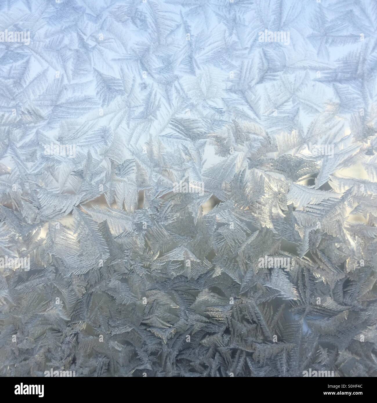 Glass window hi-res stock photography and images - Alamy