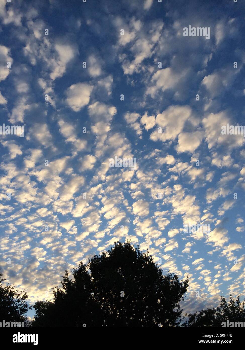 Patterned sky hi-res stock photography and images - Alamy