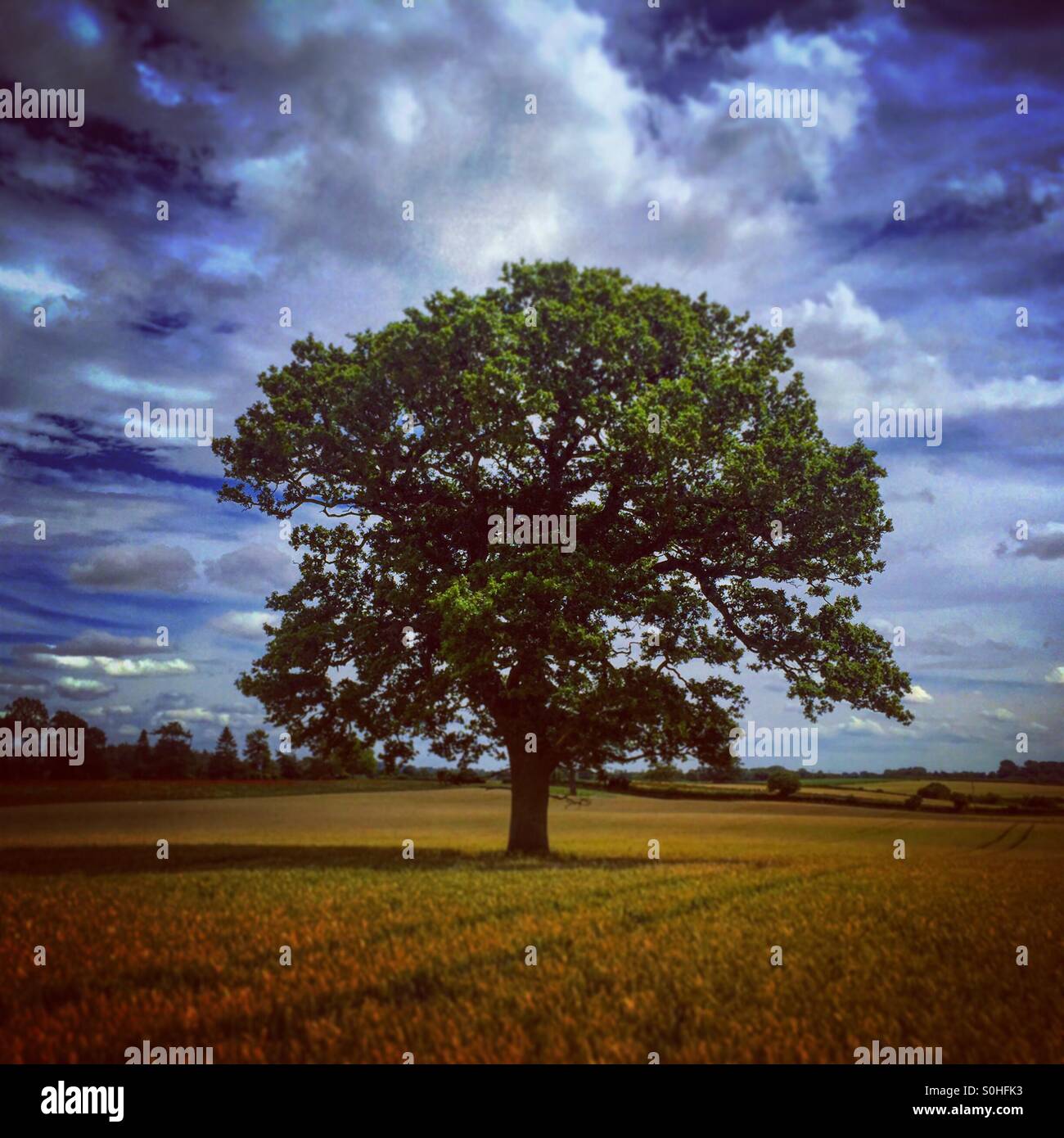 Gobowen hi-res stock photography and images - Alamy