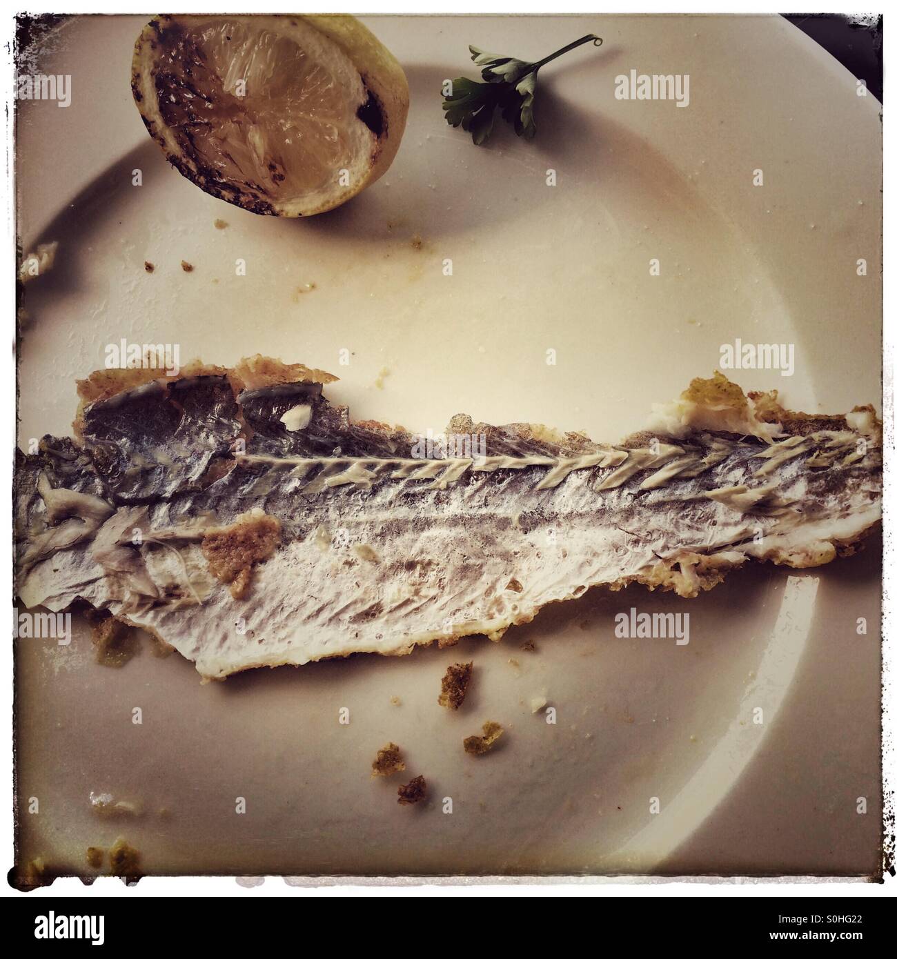 Scraps fish on plate hi-res stock photography and images - Alamy