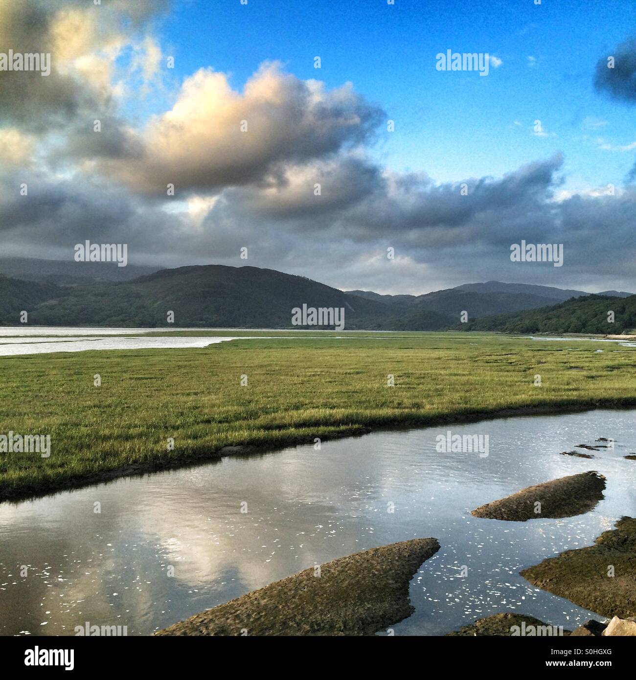 On the Mawddach trail / estuary near Barmouth, Wales Stock Photo - Alamy