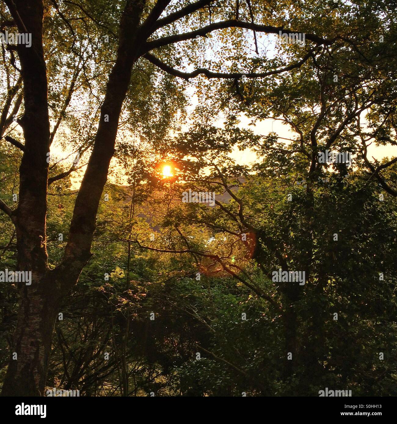 Setting sunshine hi-res stock photography and images - Alamy