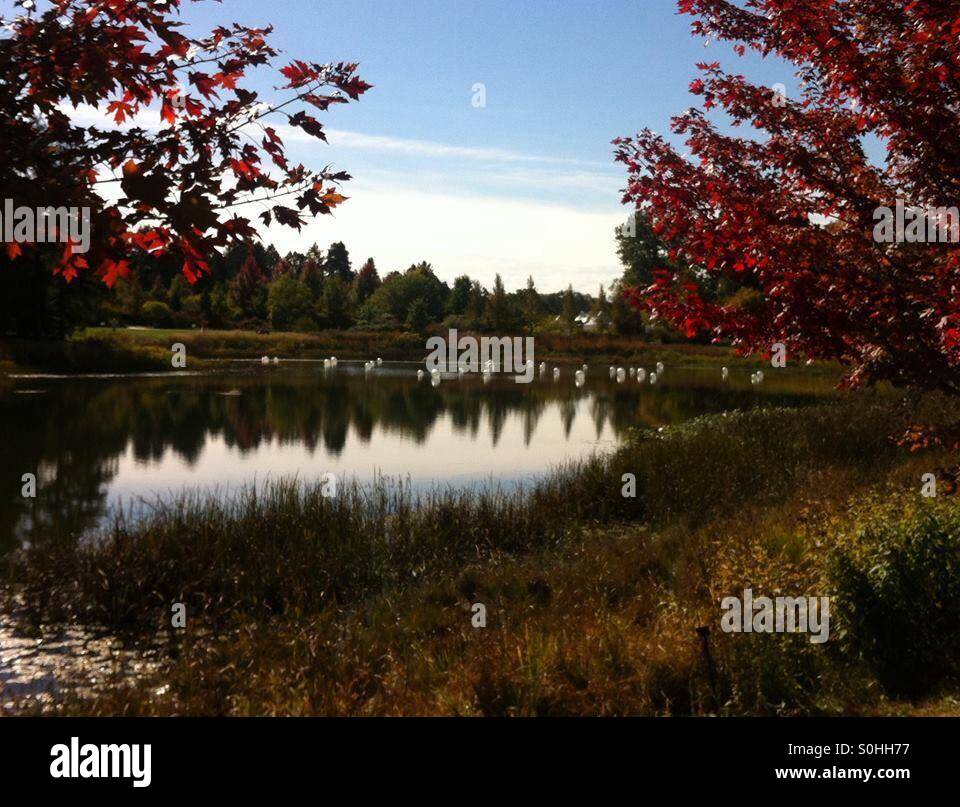 Different angles makes huge differences Stock Photo - Alamy