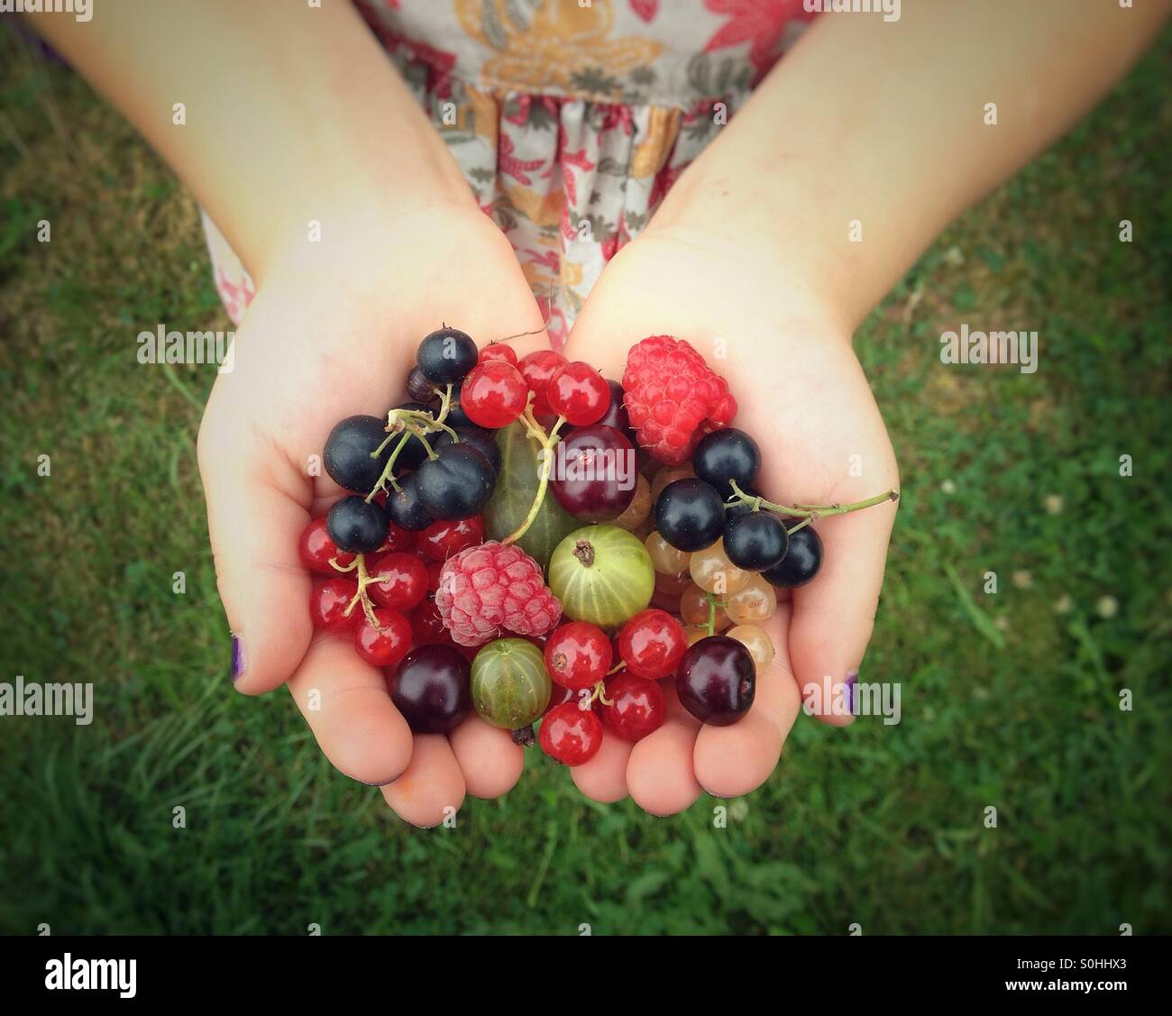 Fruits in child hands Stock Photo - Alamy