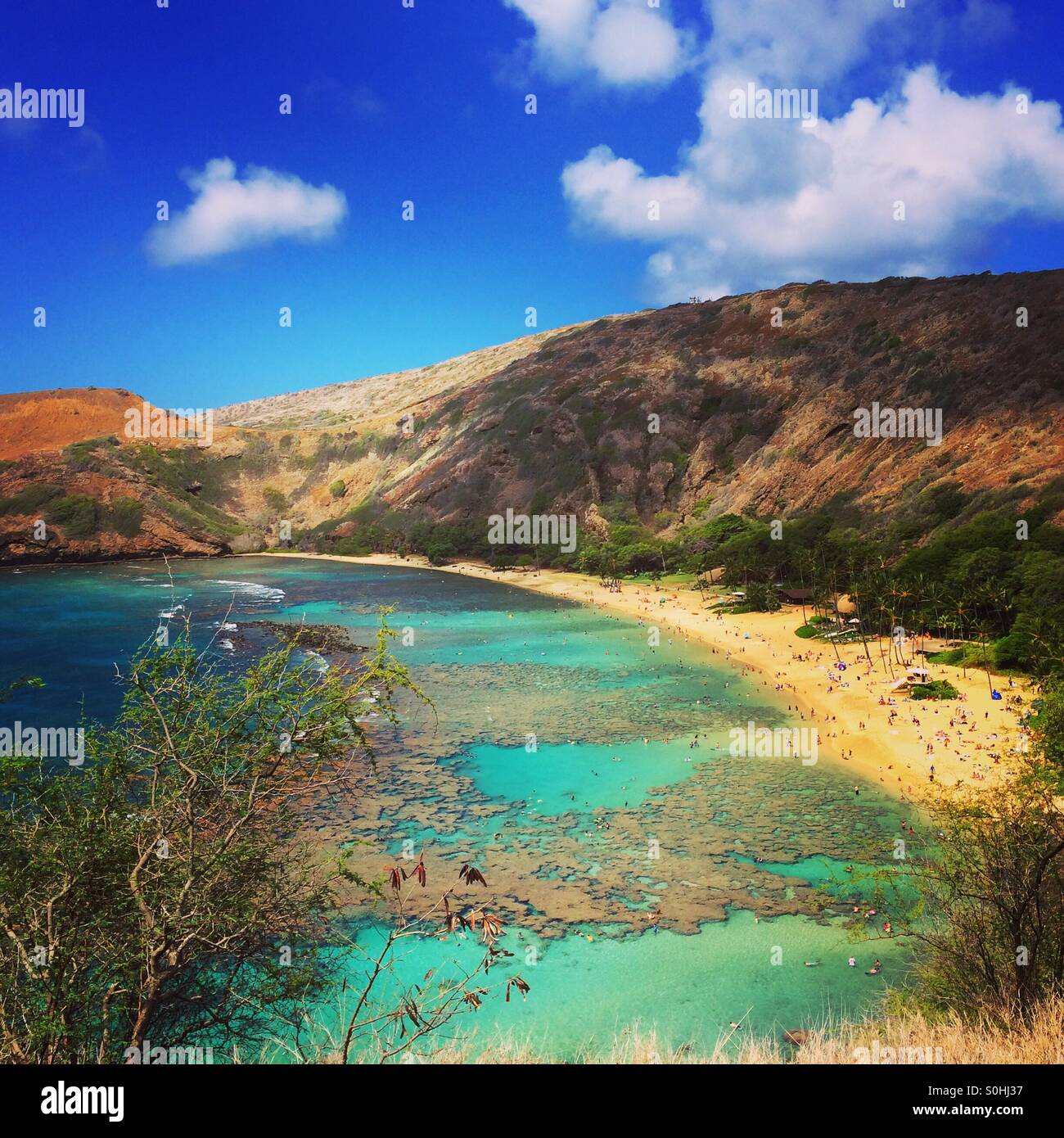 Hanauma bay hi-res stock photography and images - Alamy