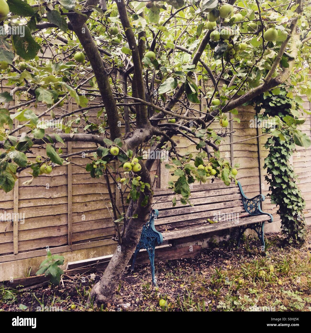 Bench garden tree hi-res stock photography and images - Alamy