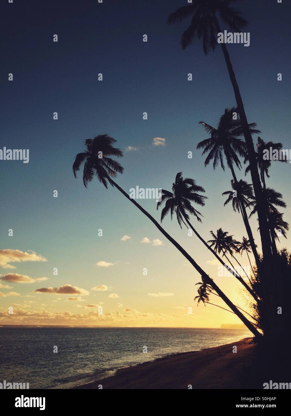 Tropical dream holidays hi-res stock photography and images - Alamy