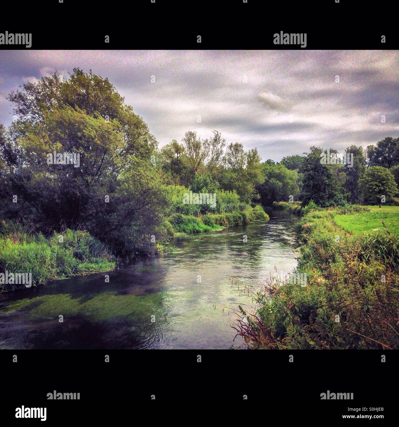 River Itchen, Winchester Stock Photo - Alamy