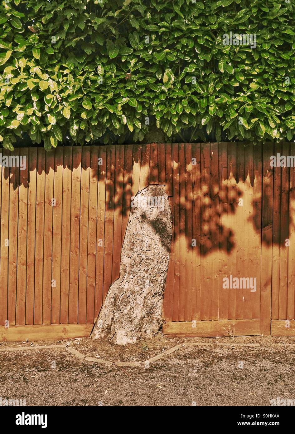 Bespoke fencing hi-res stock photography and images - Alamy