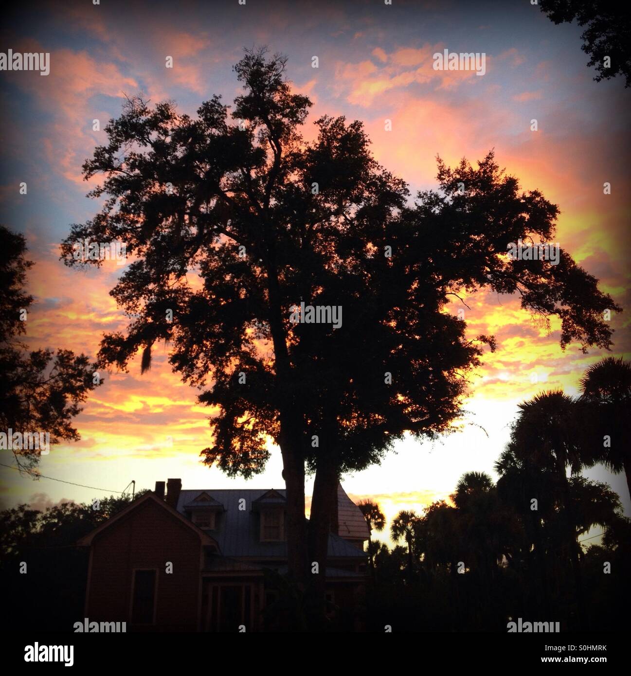 Shadow and sunset hi-res stock photography and images - Alamy