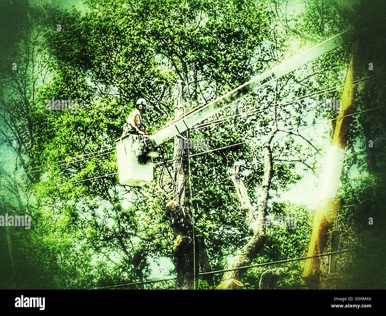 Tree trimmer hi-res stock photography and images - Alamy
