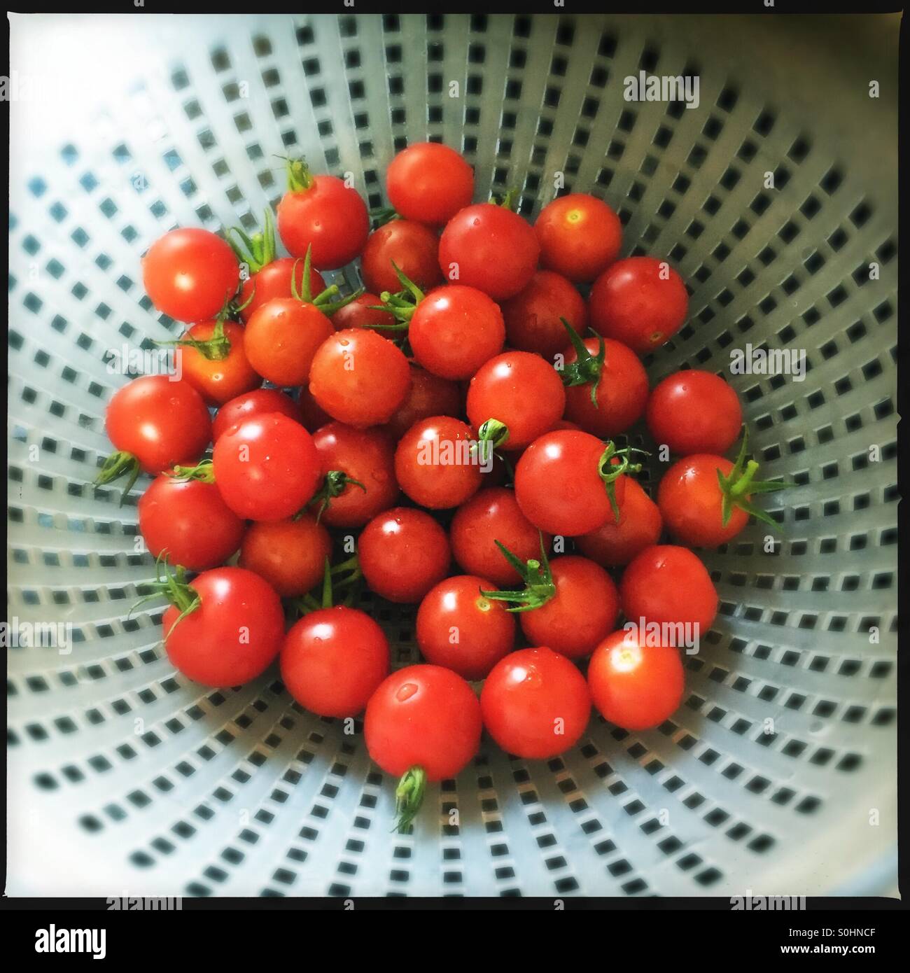 Fresh from the garden Stock Photo - Alamy