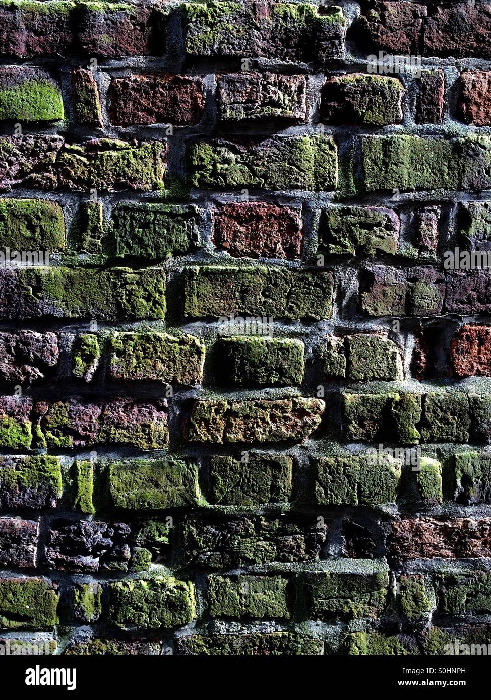 Light bricks hi-res stock photography and images - Alamy