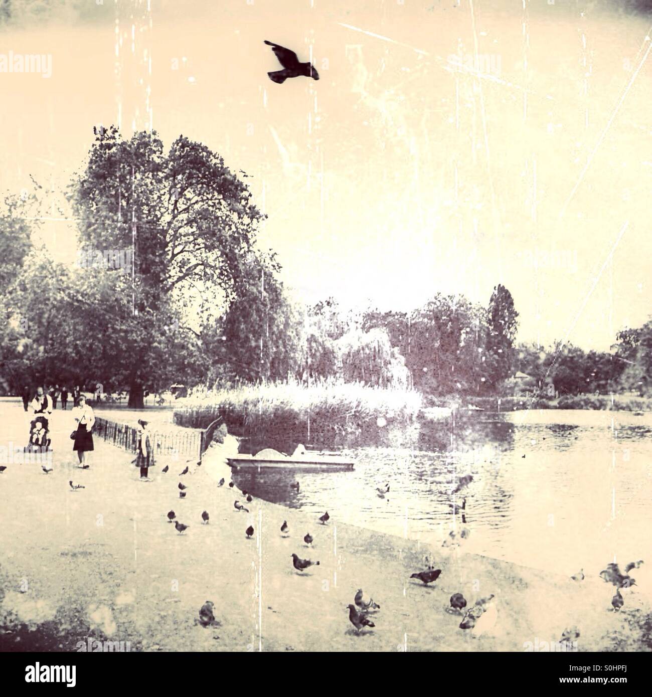 Regents park london birds hi-res stock photography and images - Alamy