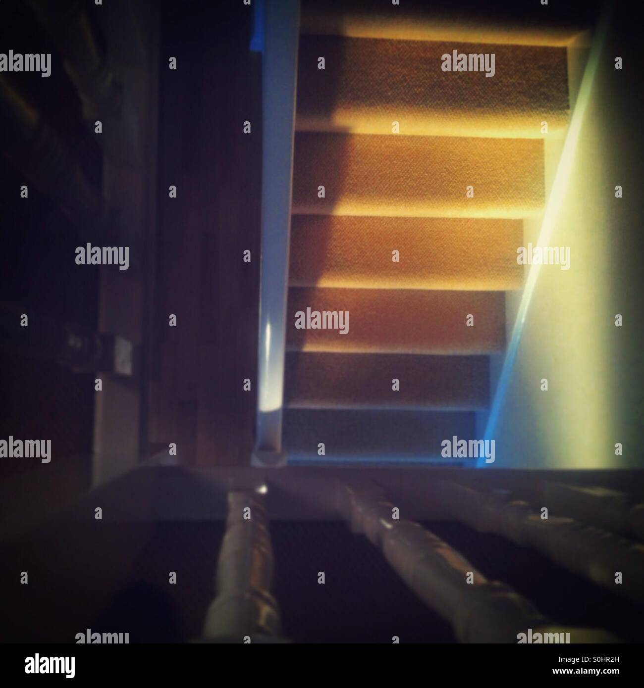 Intense Sun Stock Photos & Intense Sun Stock Images - Alamy