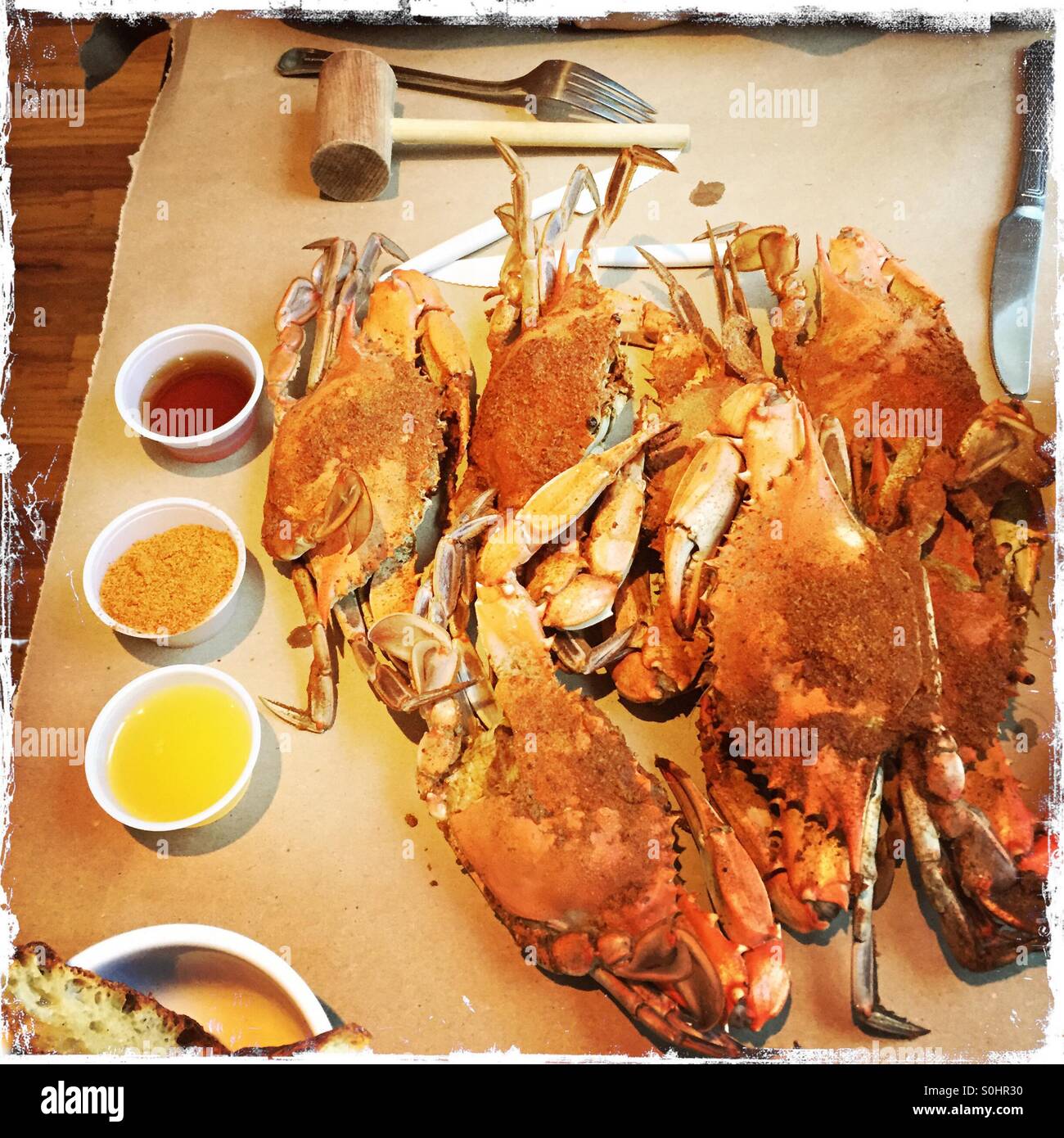 Ocean crabs hi-res stock photography and images - Alamy