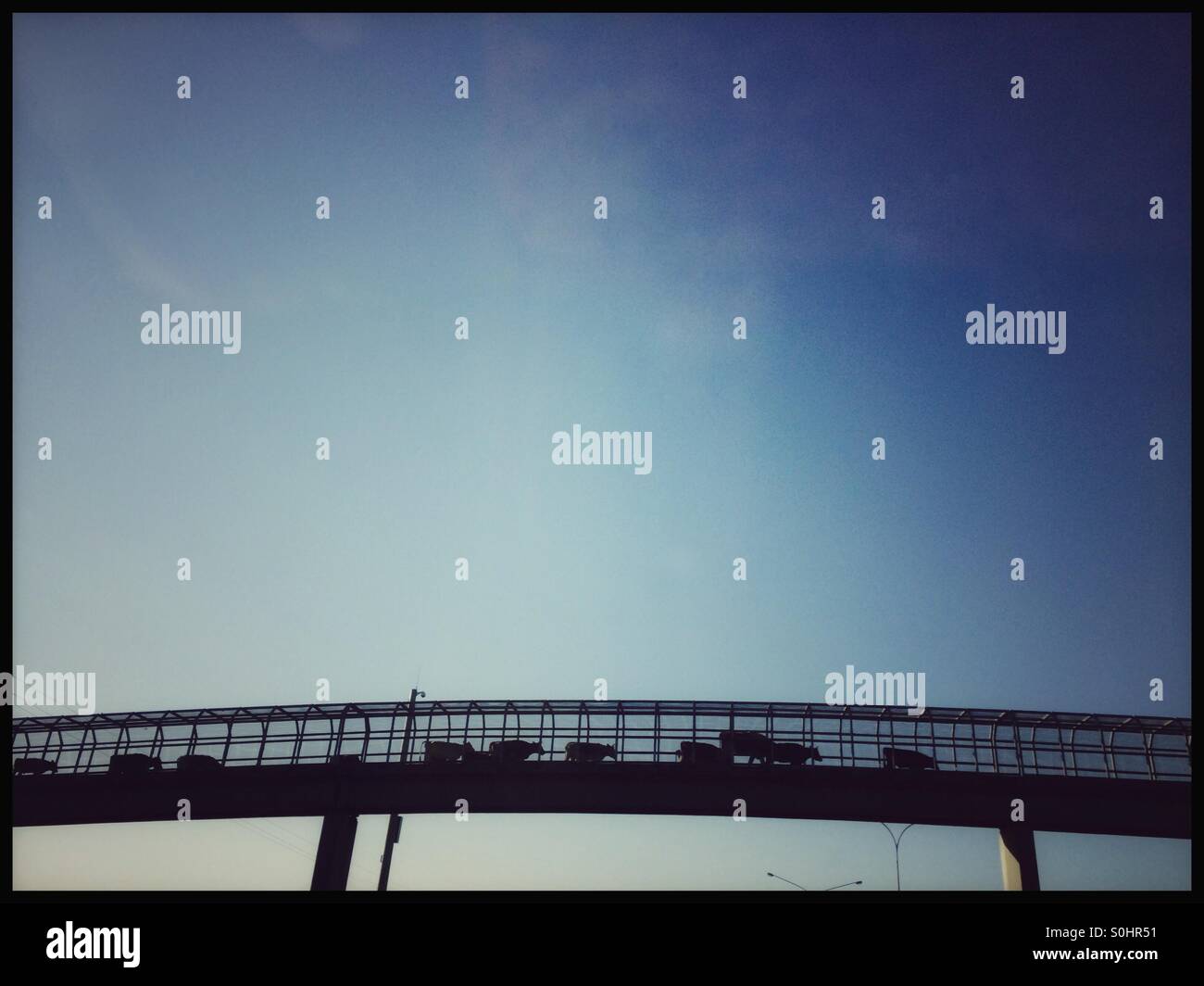 Pedestrian n2 cape town hi-res stock photography and images - Alamy