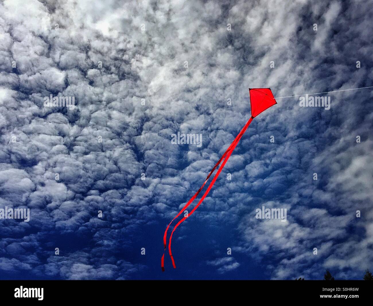 Let's Go Fly A Kite Stock Photo - Alamy