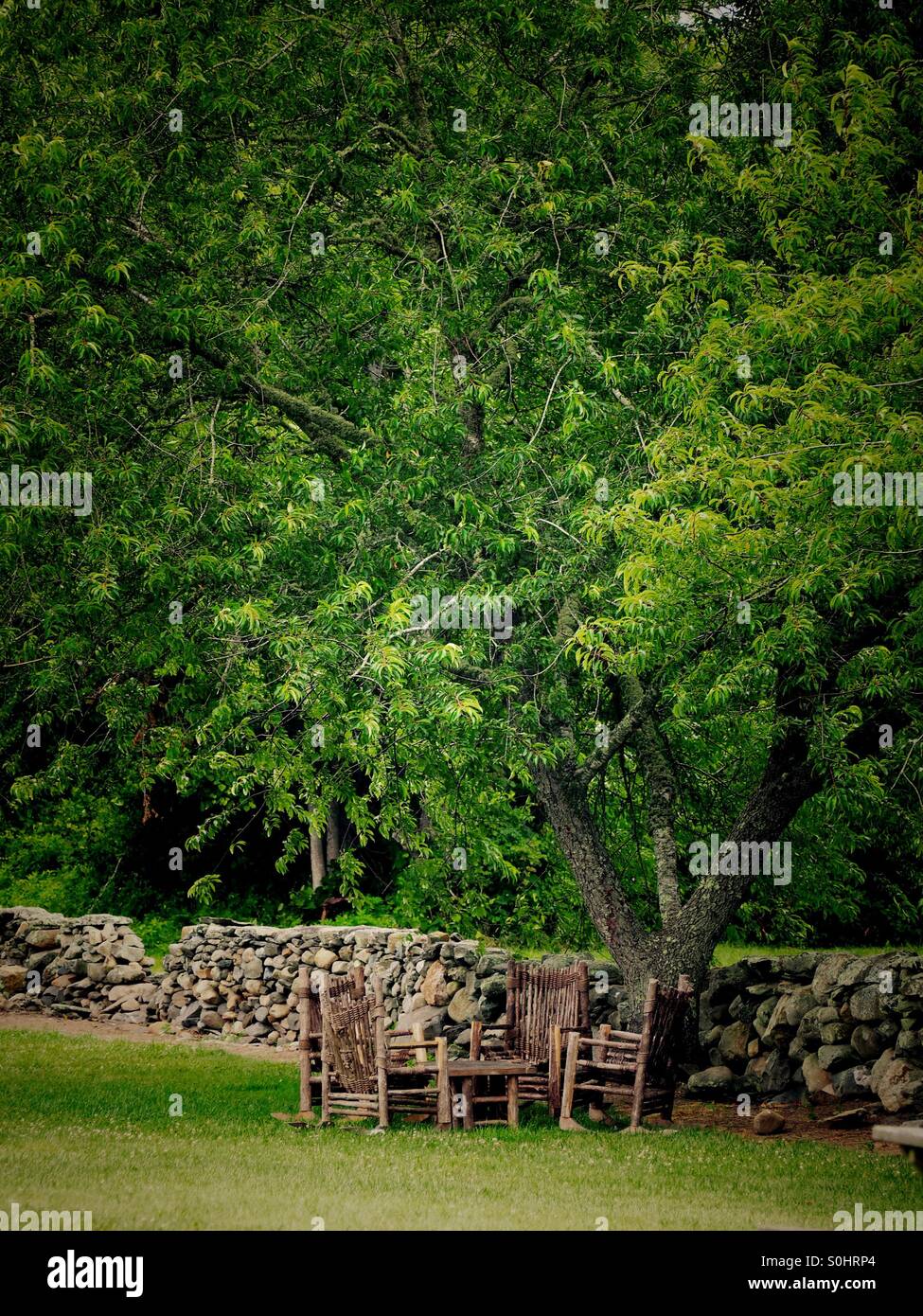 Lunch vineyard hi-res stock photography and images - Alamy