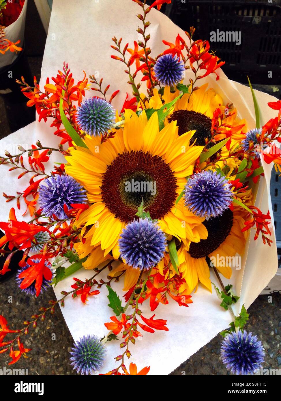 Summer flowers blooms hi-res stock photography and images - Alamy