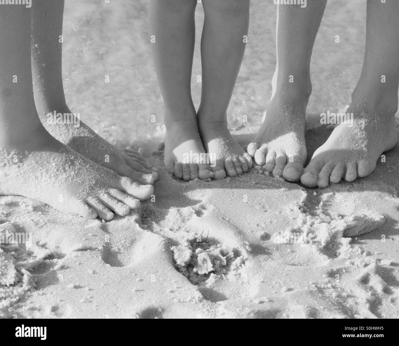 Three Toes High Resolution Stock Photography and Images - Alamy