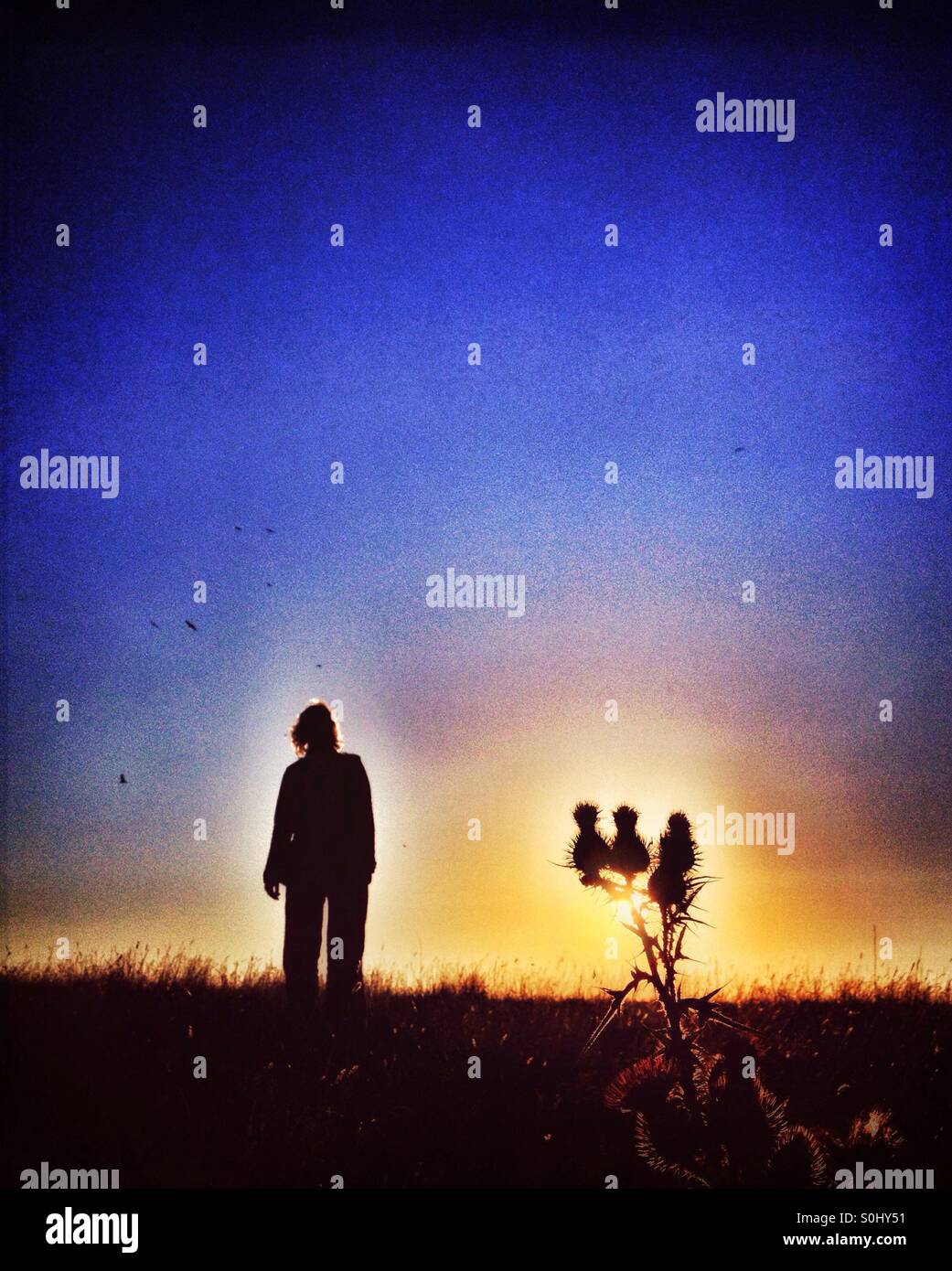 Backlit figure hi-res stock photography and images - Alamy