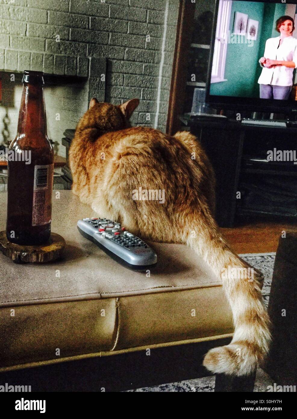 Cat tv remote hi-res stock photography and images - Alamy