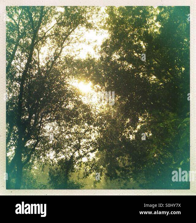 Summer sun shower hi-res stock photography and images - Alamy