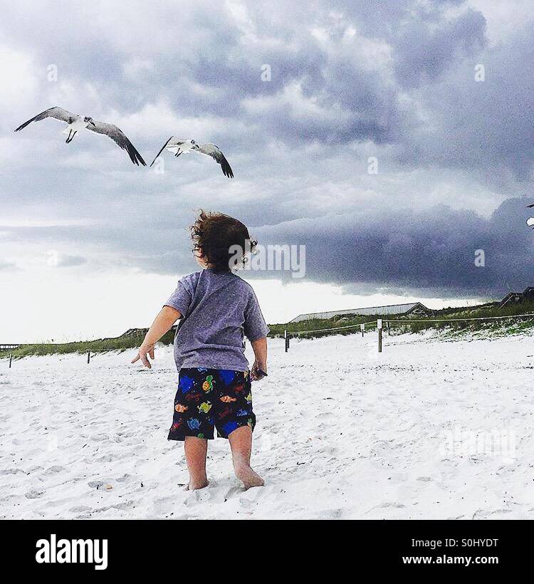 Whoa hi-res stock photography and images - Alamy