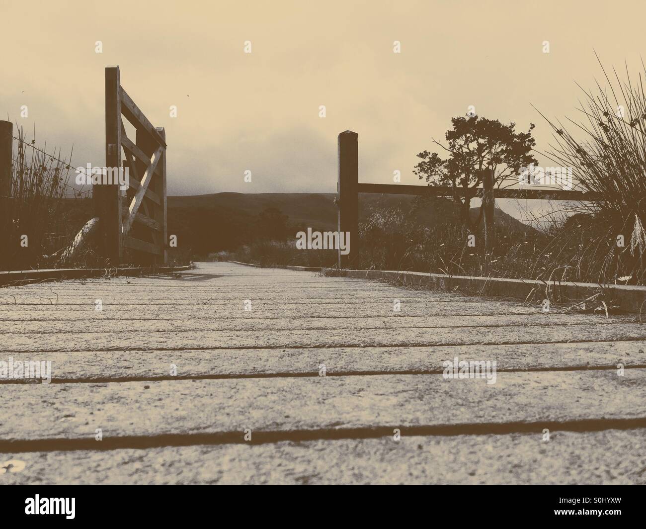 Walkway through the wooden gate Stock Photo - Alamy