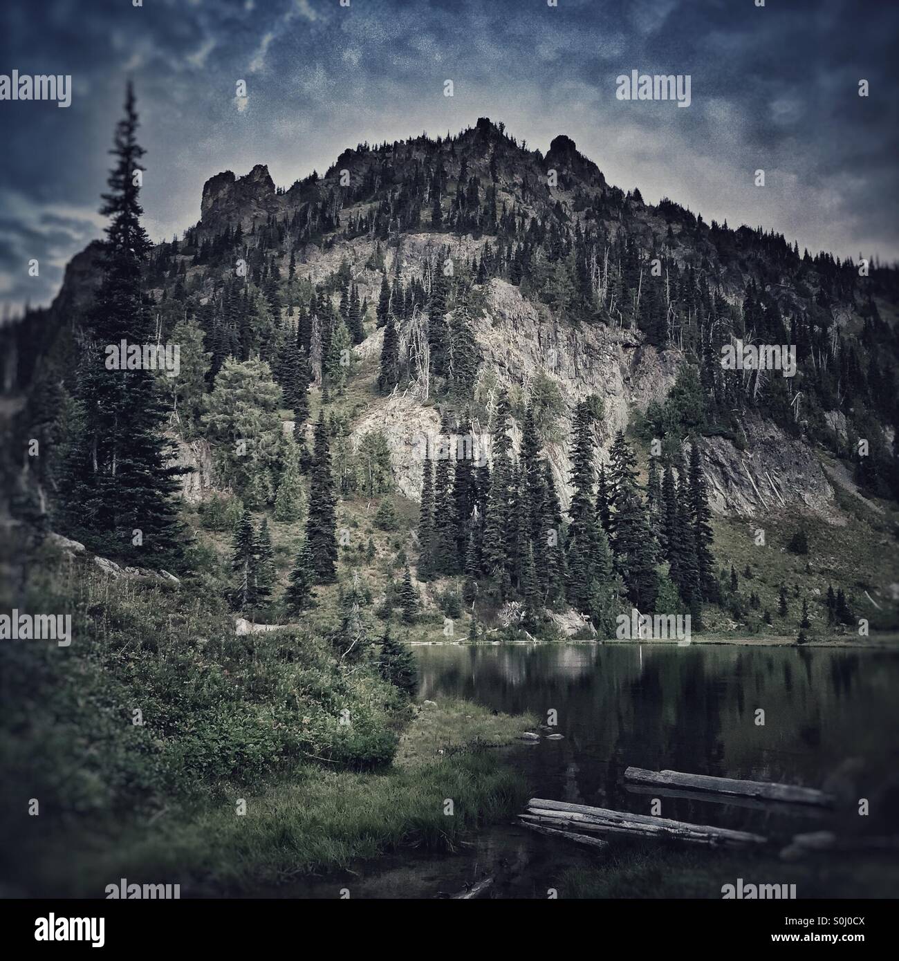 Wenatchee national forest hi-res stock photography and images - Alamy