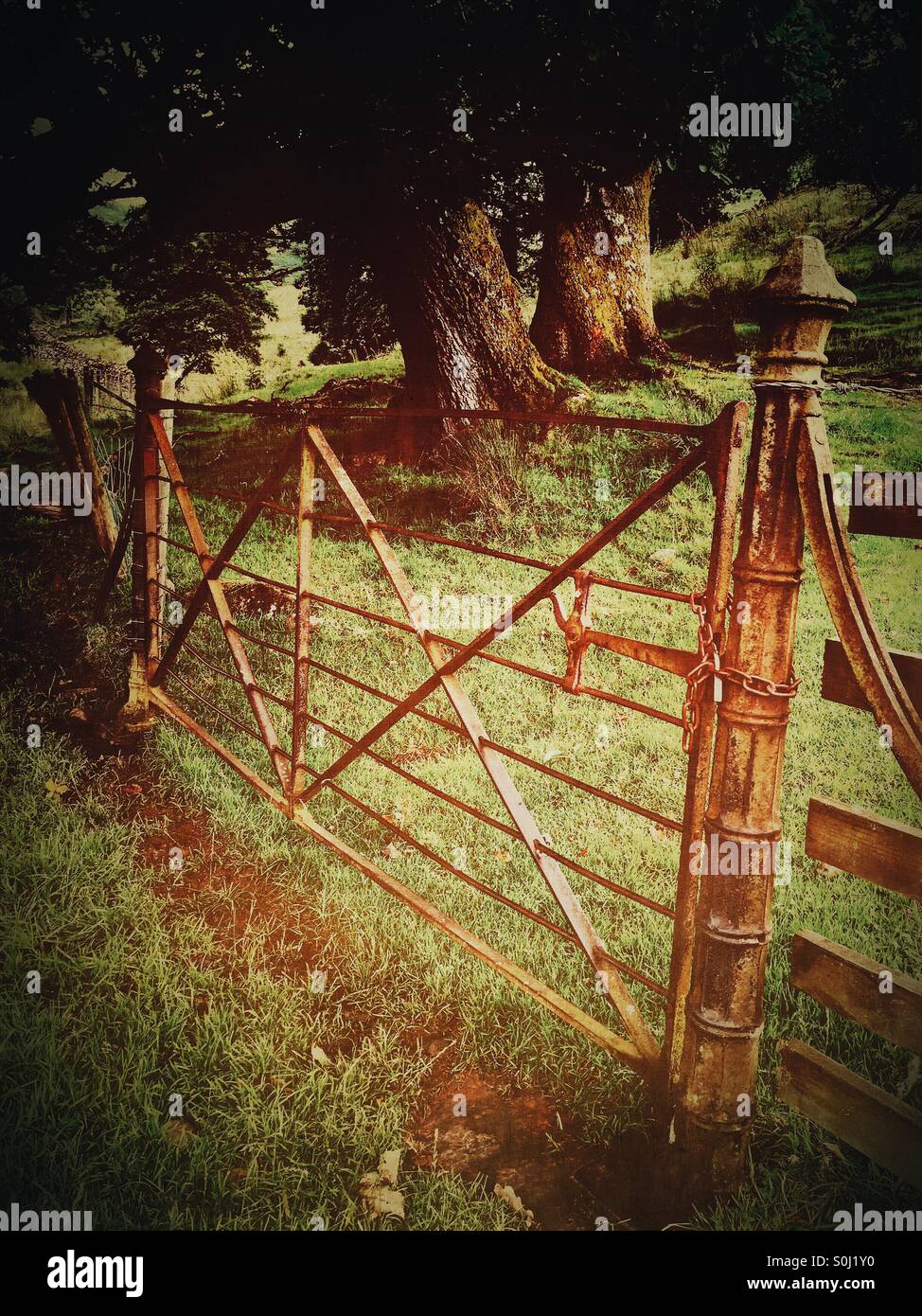 Victorian farm hi-res stock photography and images - Alamy