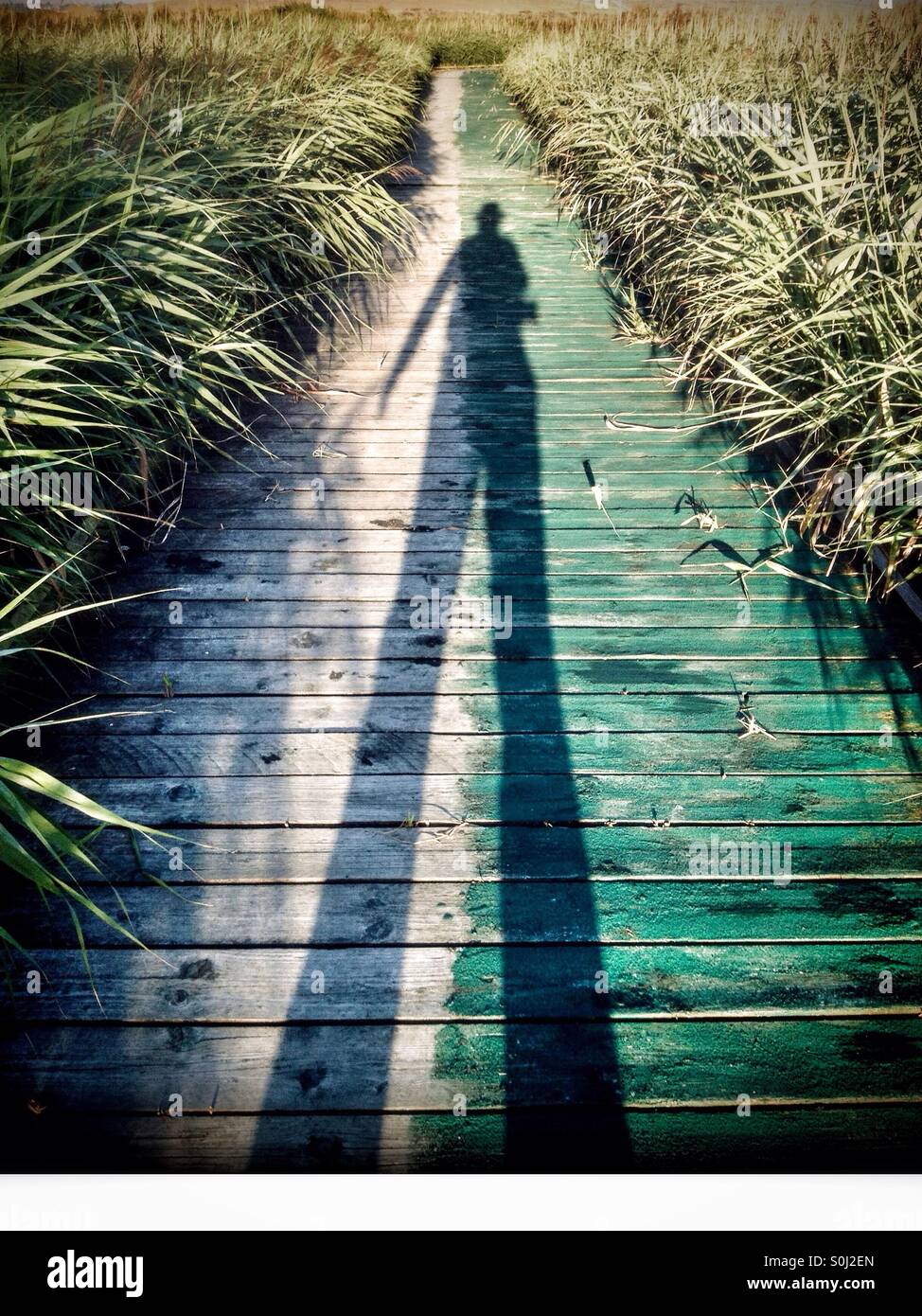 Broadwalk hi-res stock photography and images - Alamy