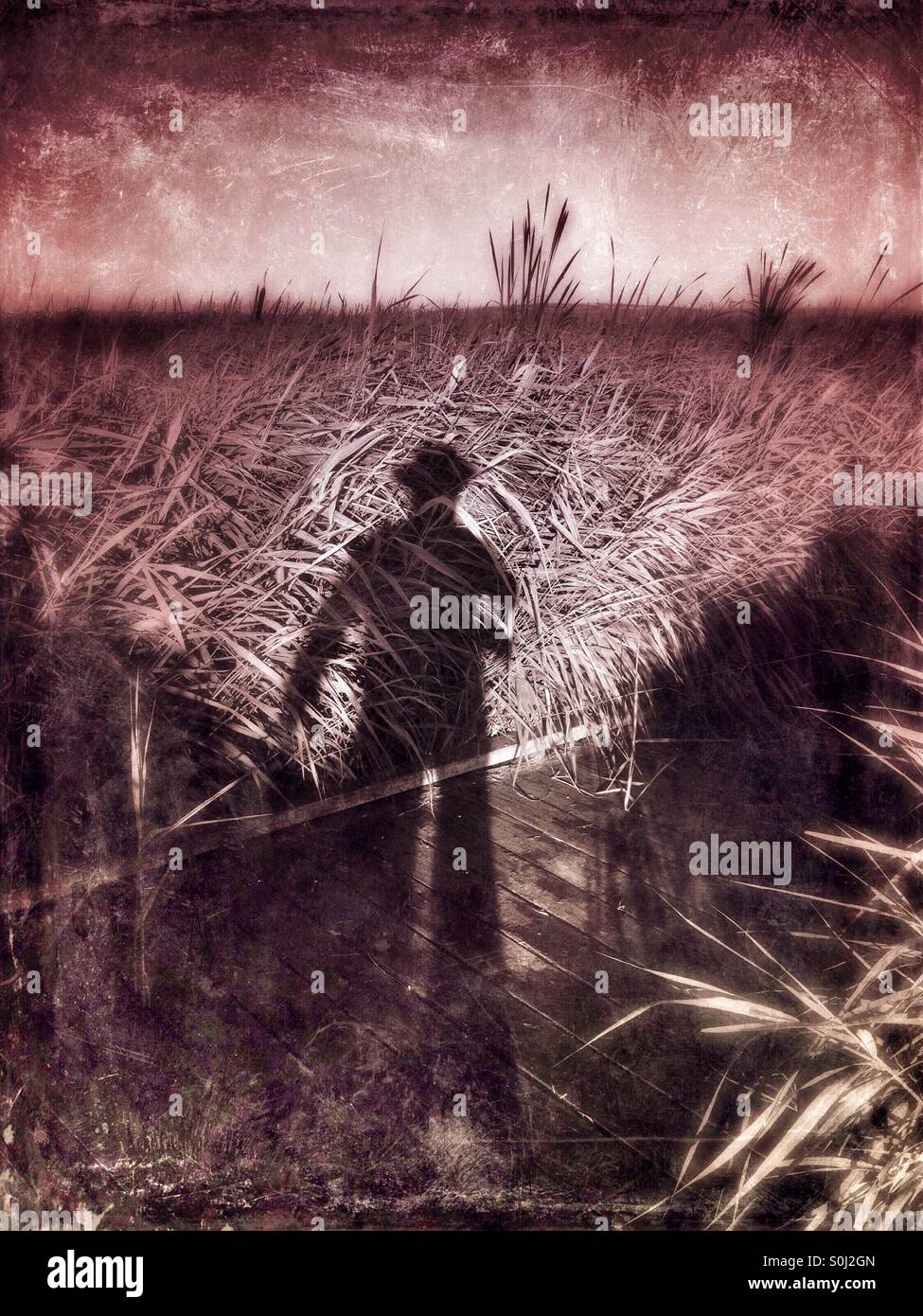 Sinister shadow hi-res stock photography and images - Alamy