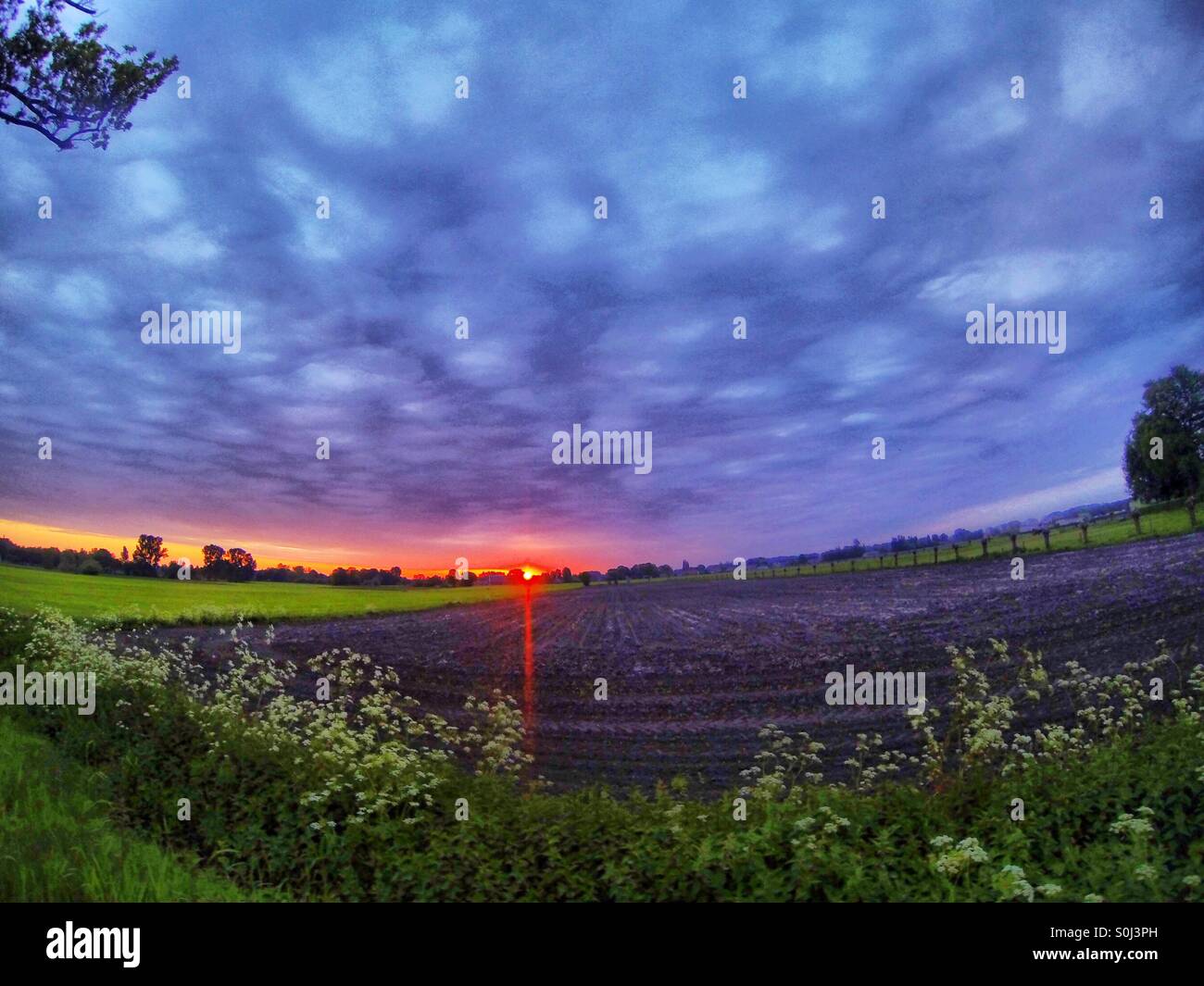 Sunset over farmland Stock Photo - Alamy
