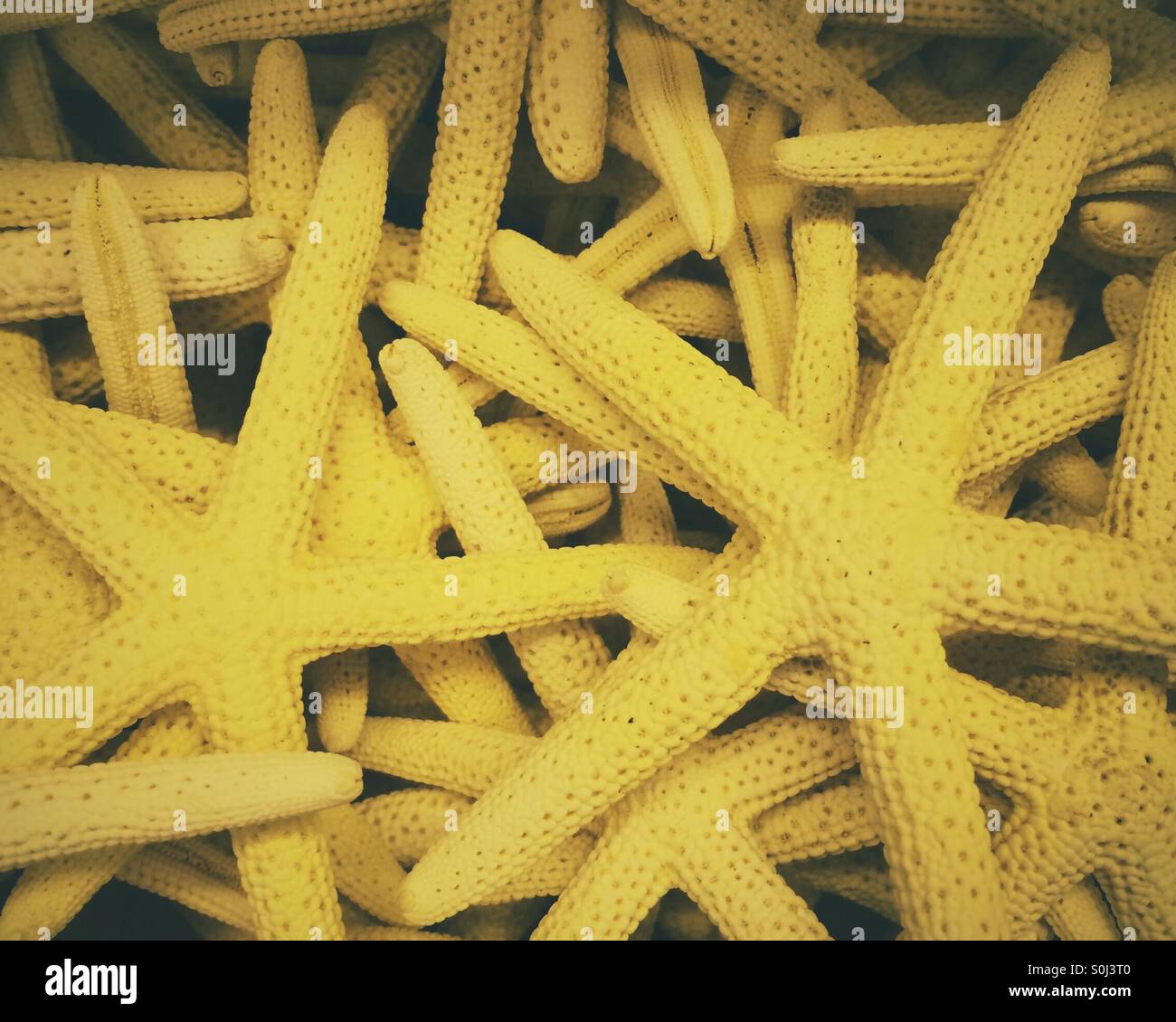 Yellow Starfish High Resolution Stock Photography and Images - Alamy