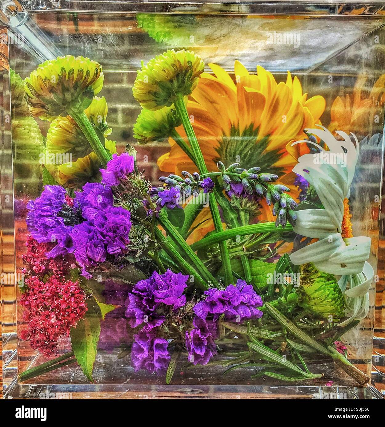 Assorted flowers hi-res stock photography and images - Alamy