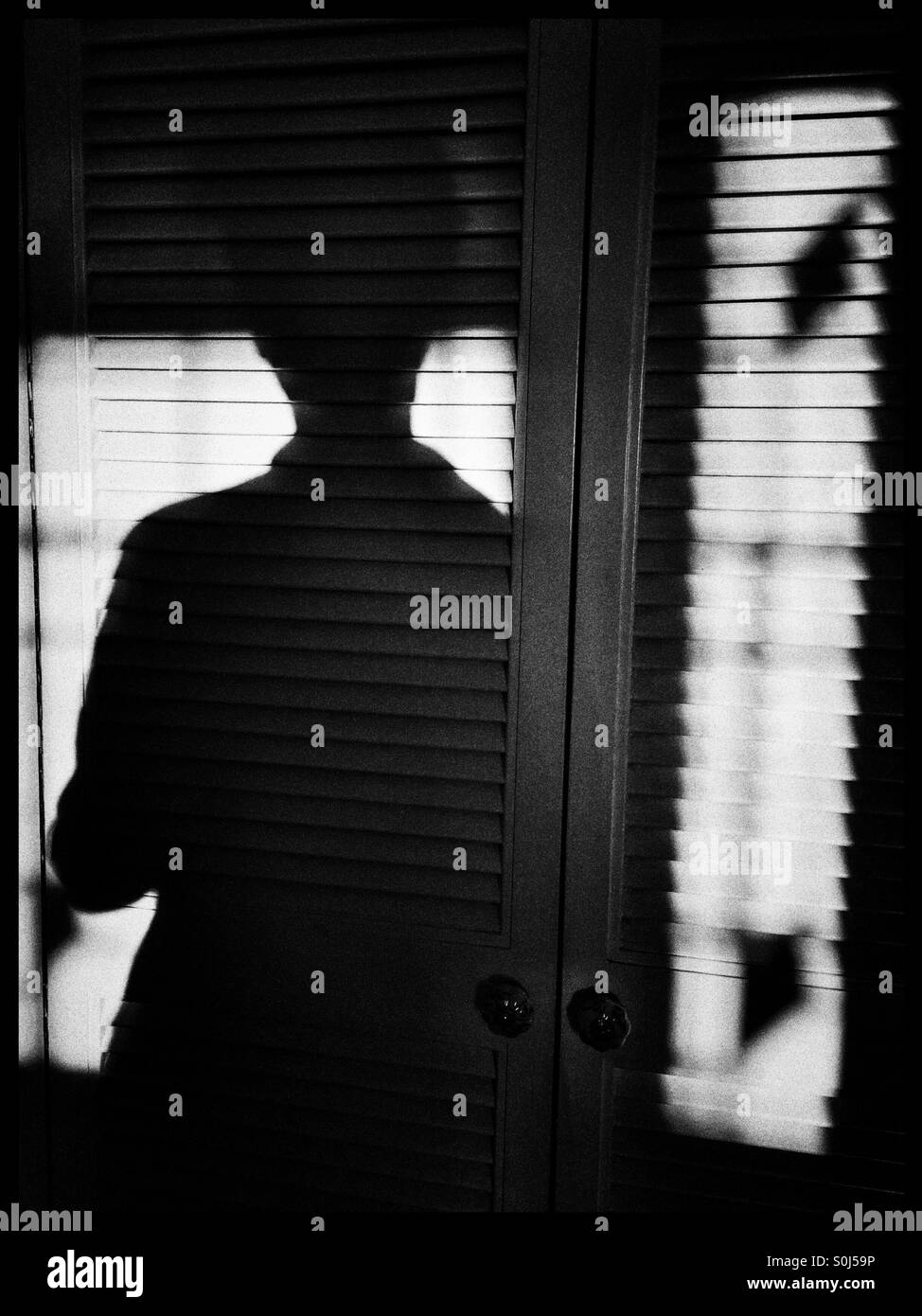 Shadow on louvre door Stock Photo - Alamy