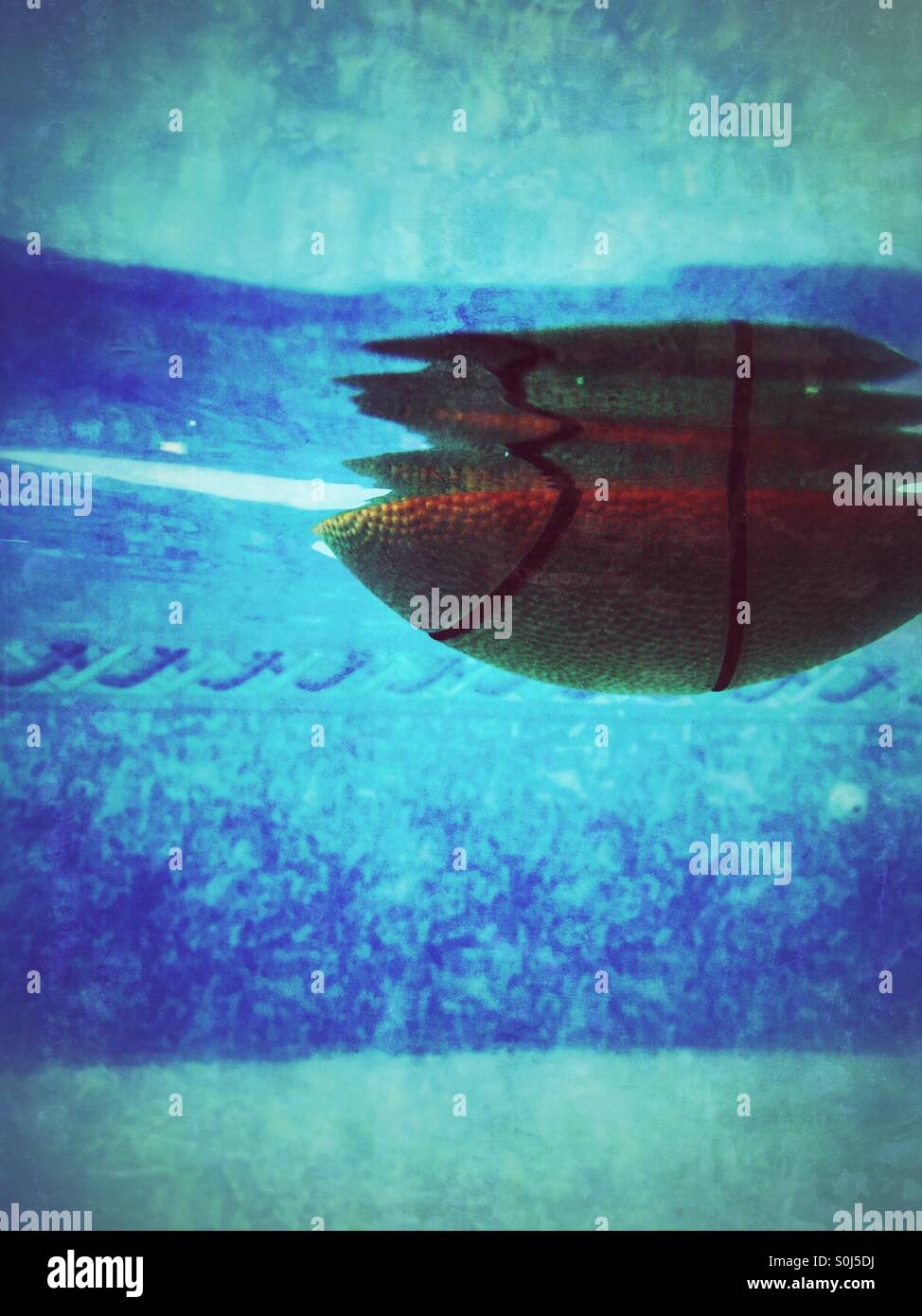 A basket ball floating in swimming pool, as seen from below, under ...